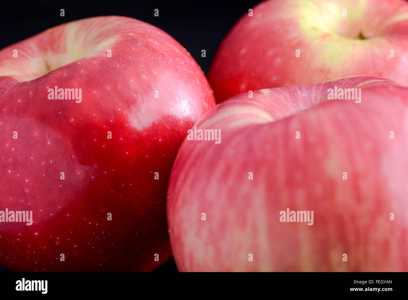 Arkansas black apple hi-res stock photography and images - Alamy