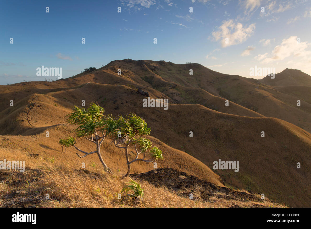 Nacula Island, Yasawa Islands, Fiji Stock Photo - Alamy