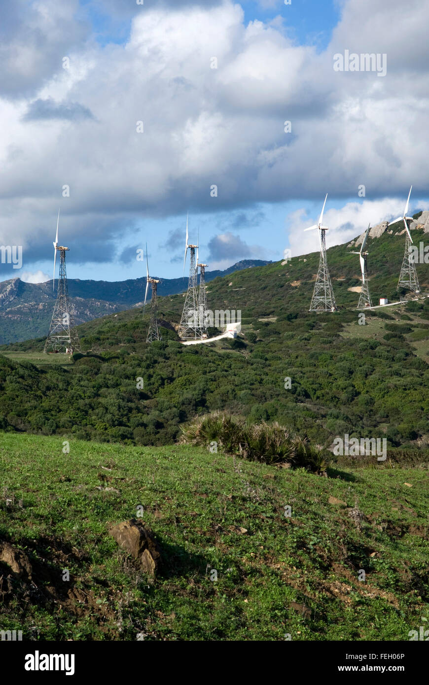 Wind farm located in Tarifa, Spain Stock Photo - Alamy
