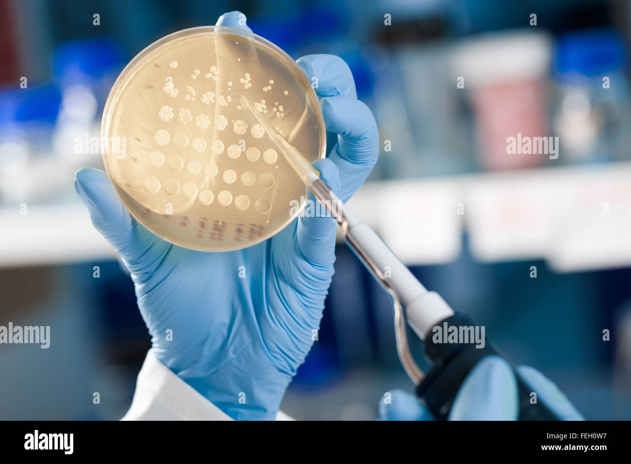 Assay hi-res stock photography and images - Alamy