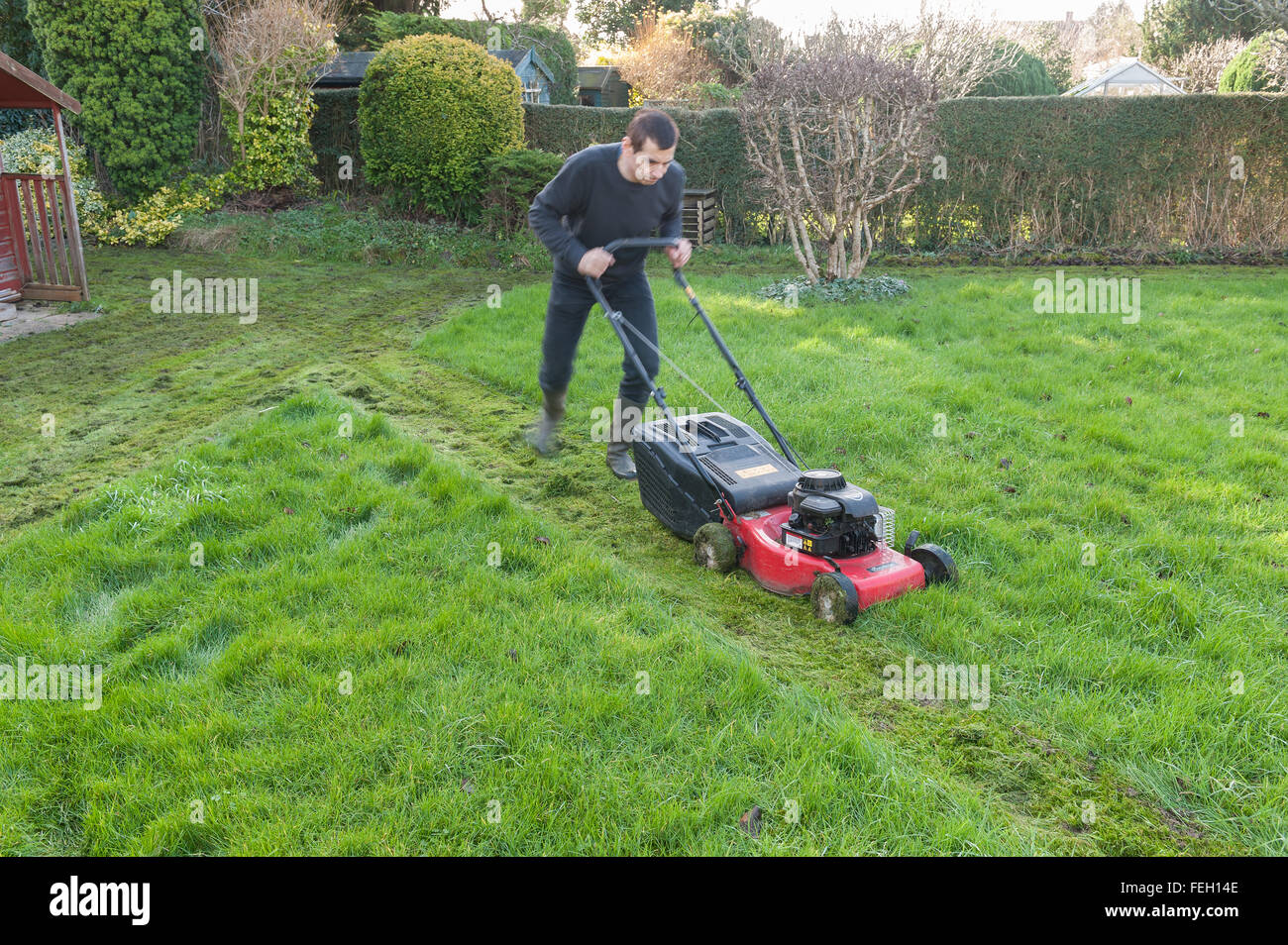 First lawn cut of the year struggling after the mild winter and long ...