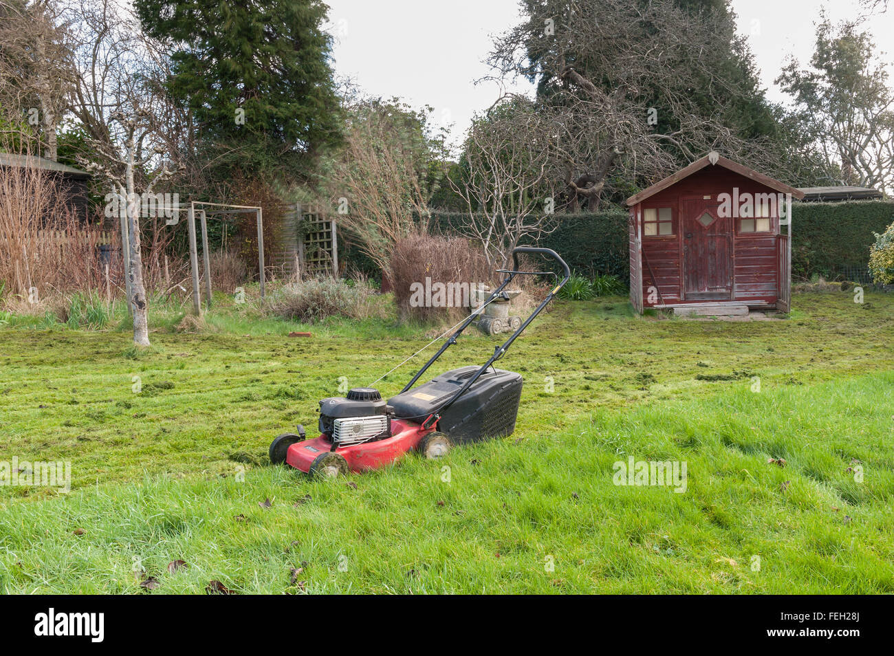 First lawn cut of the year struggling after the mild winter and long ...