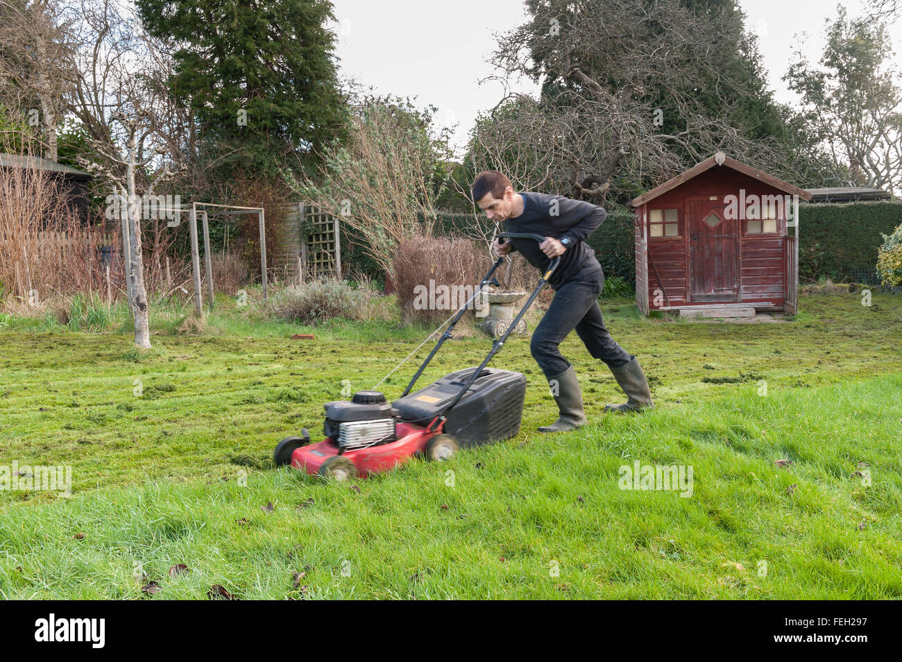First lawn cut of the year struggling after the mild winter and long ...