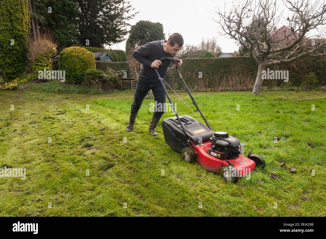 First lawn cut of the year struggling after the mild winter and long ...