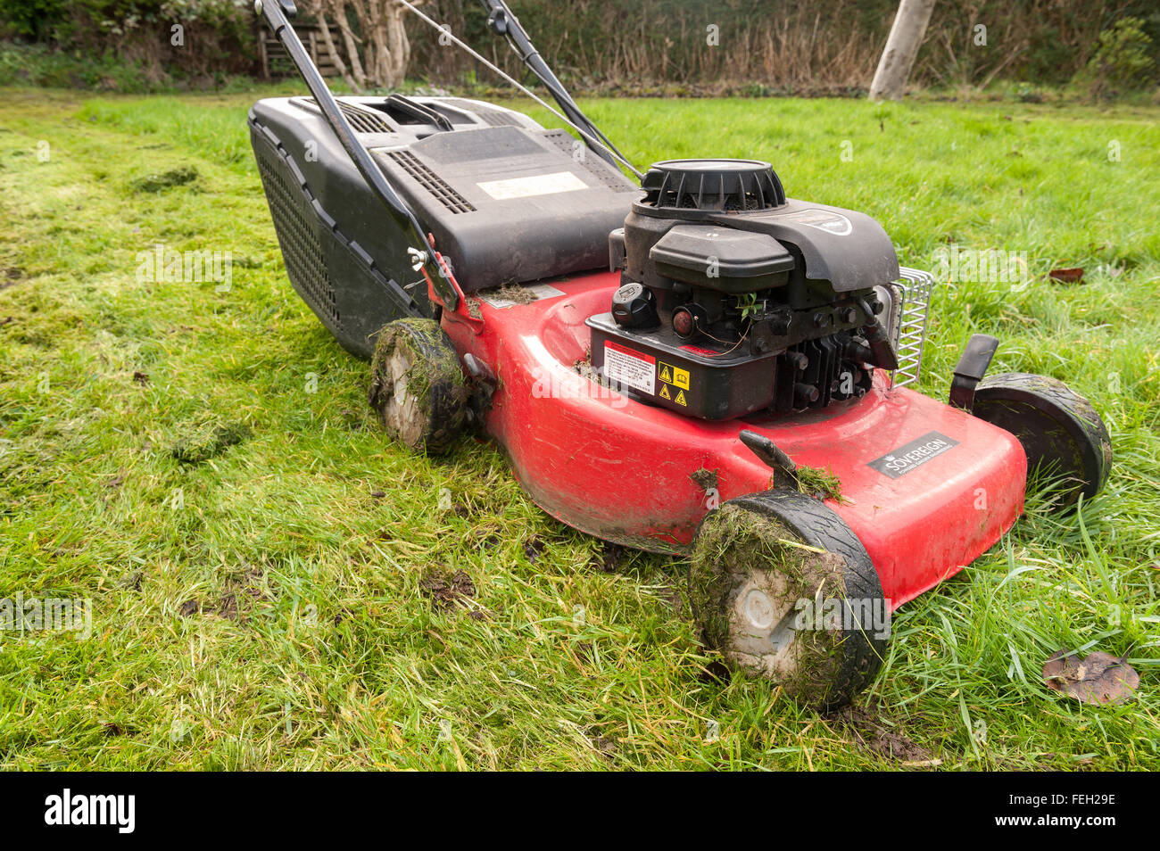 First lawn cut of the year struggling after the mild winter and long ...
