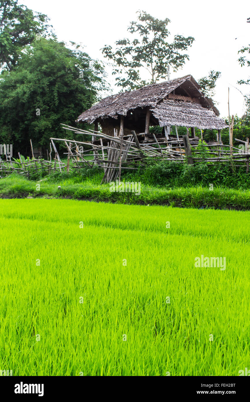Plough cottage hi-res stock photography and images - Alamy