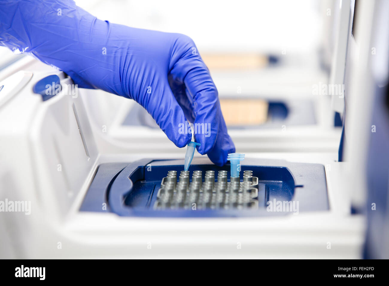 Real time pcr cycler hi-res stock photography and images - Alamy