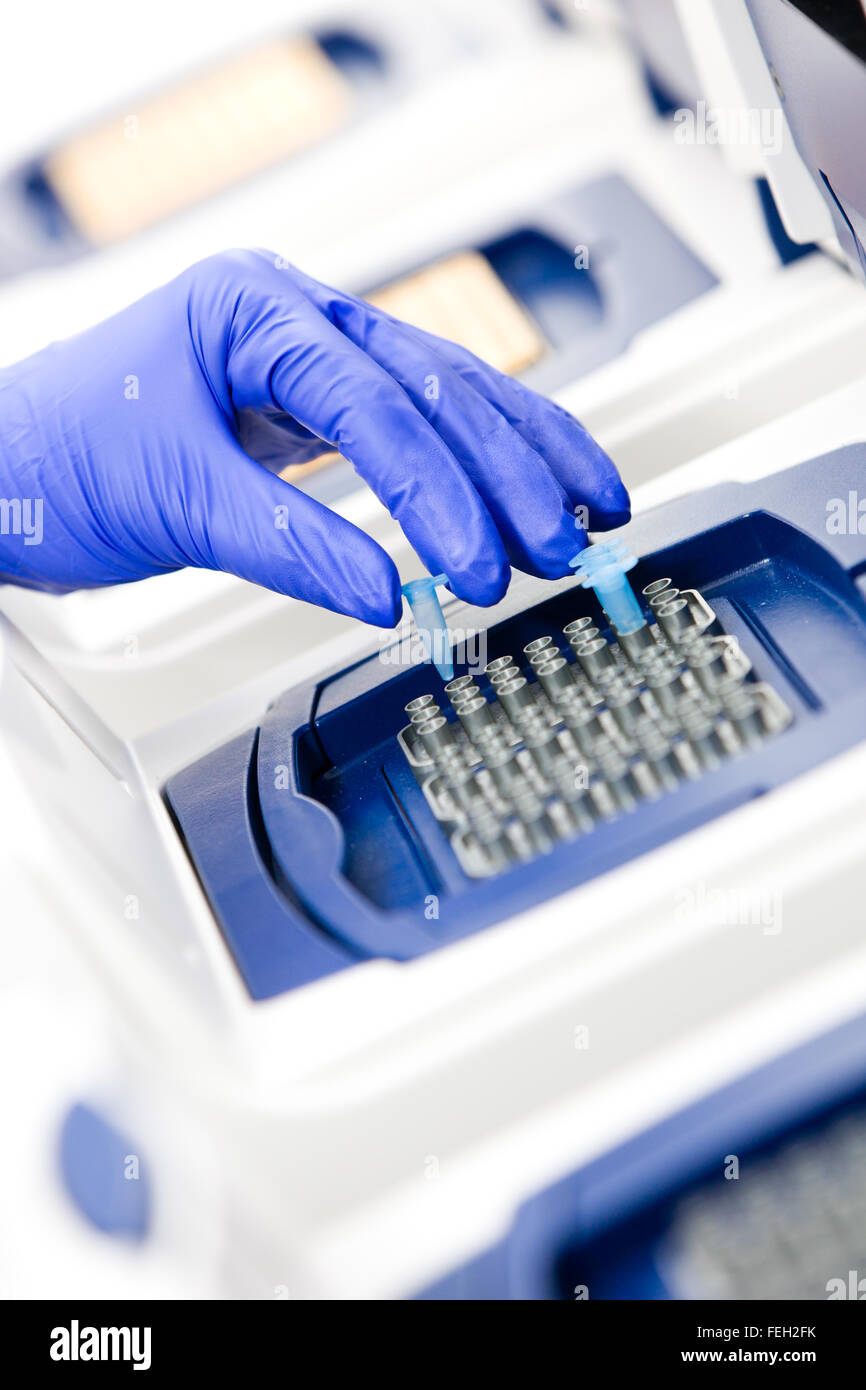 Real time pcr cycler hi-res stock photography and images - Alamy