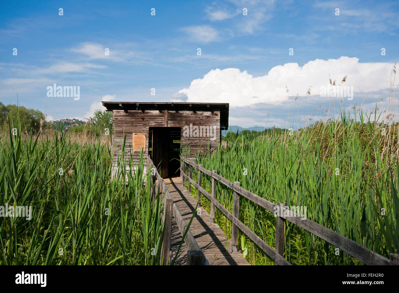 Observation hut in Regional Nature Reserve Nazzano Tevere-Farfa, Lazio ...