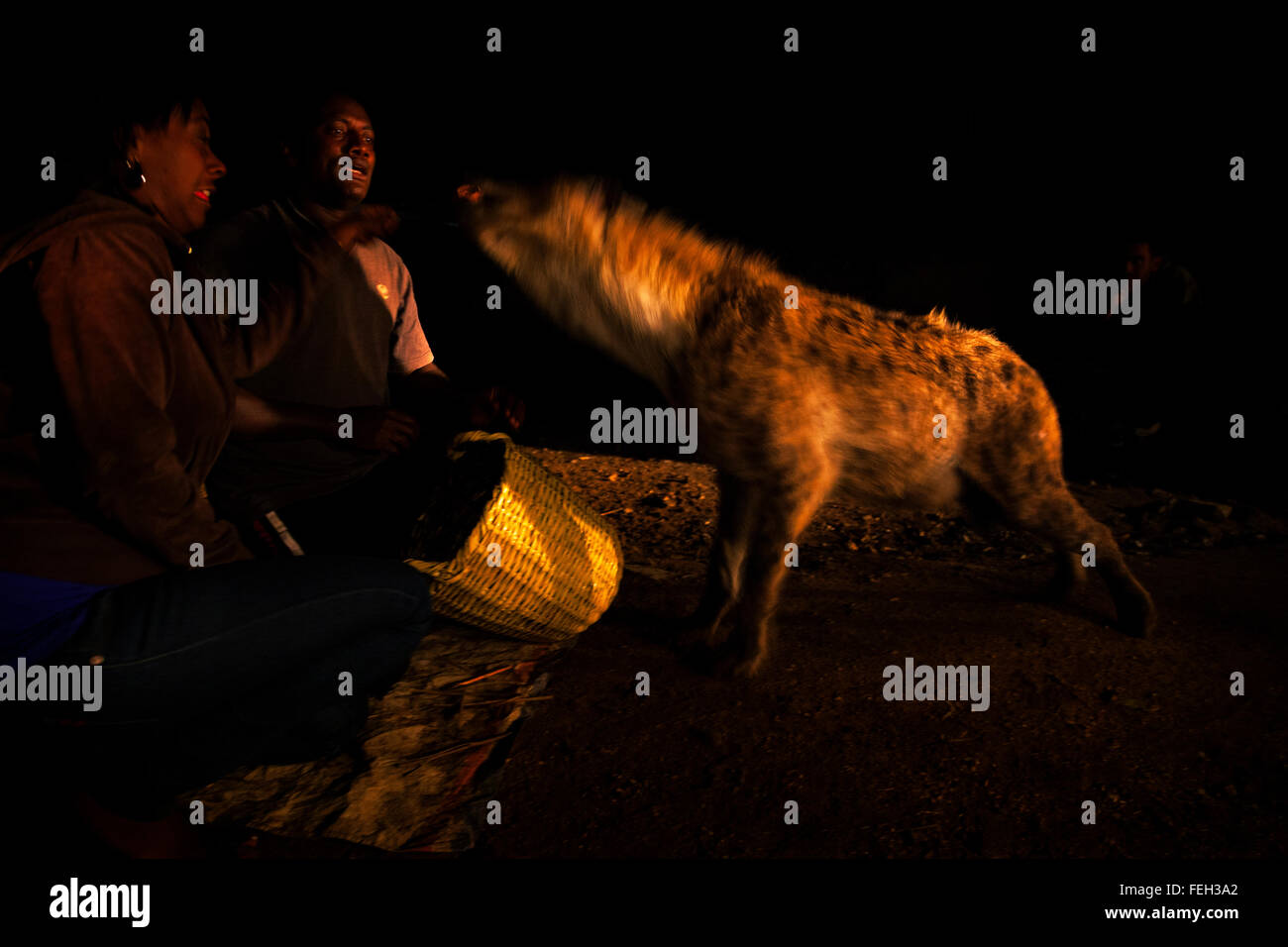 Hyena Man with tourists Harar, Ethiopia Stock Photo - Alamy