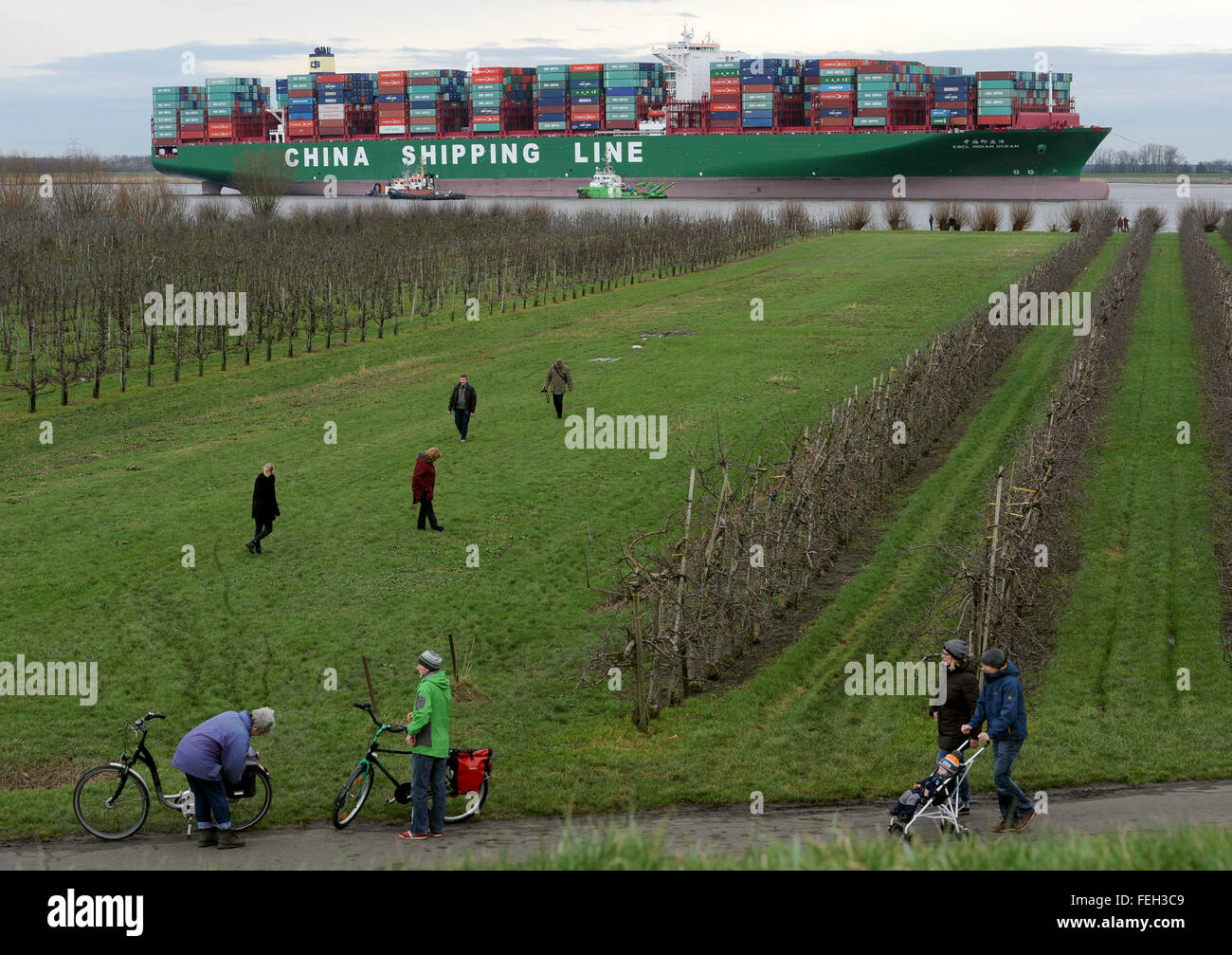 The grounded container freighter CSCL 'Indian Ocean' of China Shipping ...