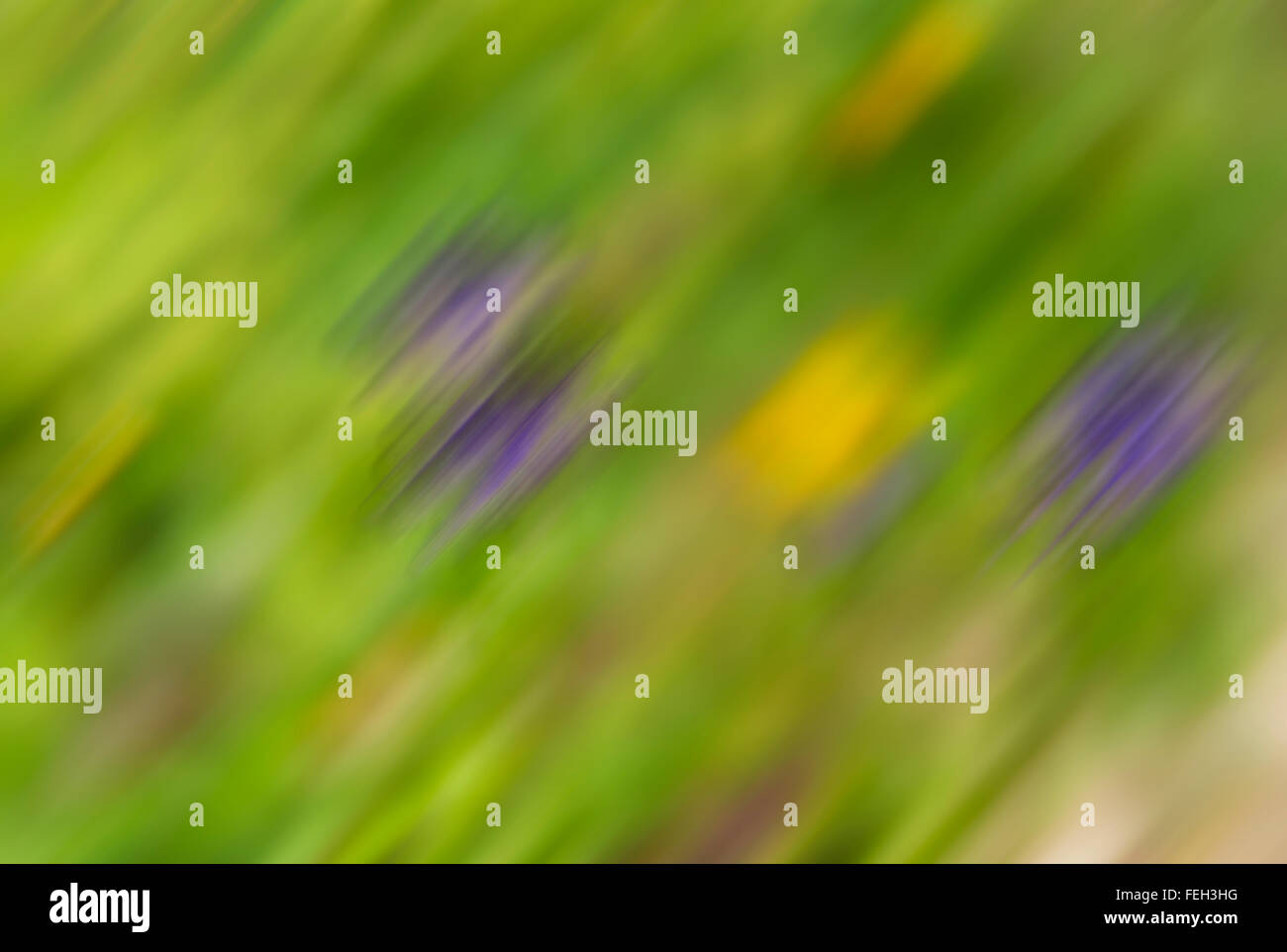 Green theme .Nature background. Motion blur Stock Photo - Alamy