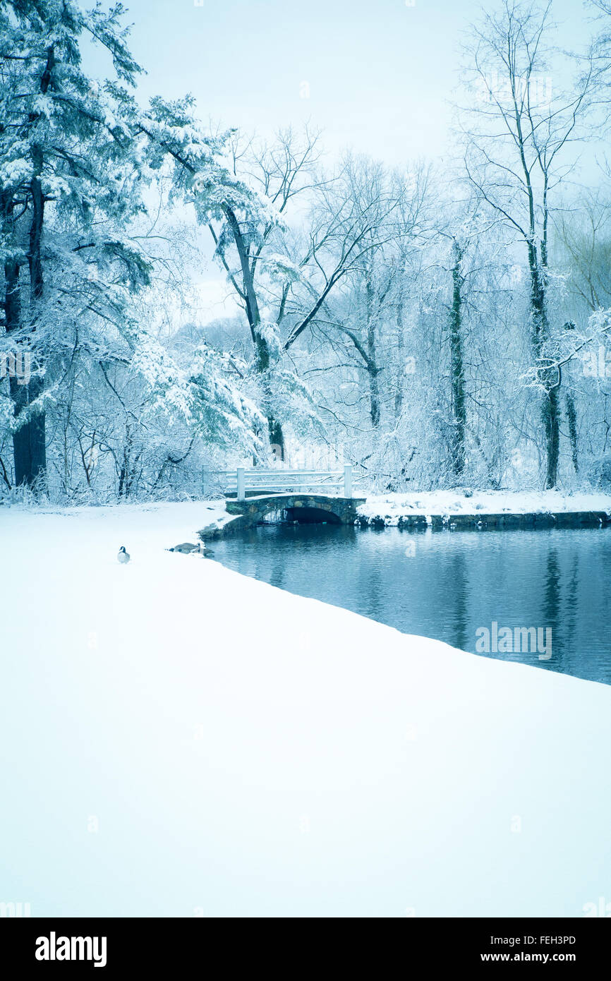 Cold winter scene with pond, snow and footbridge Stock Photo - Alamy
