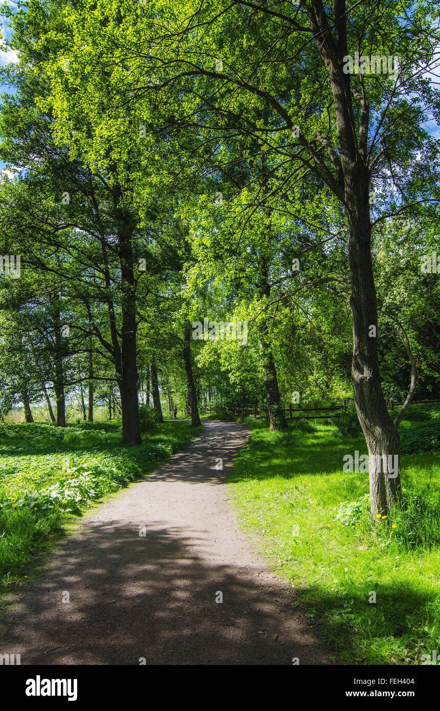 Sunny park with trail Stock Photo - Alamy