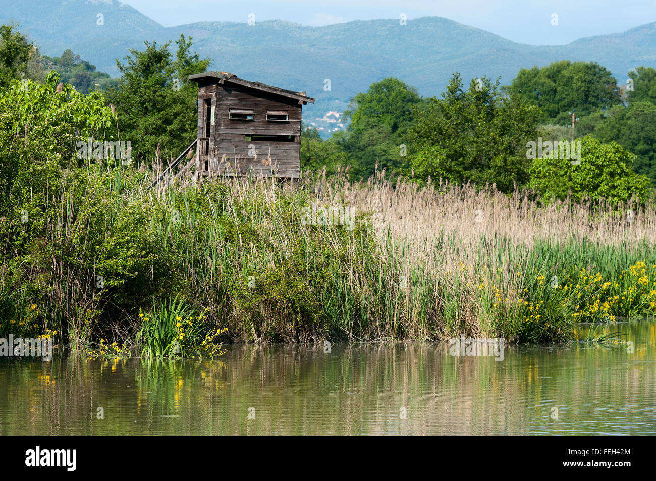 Observation hut in Regional Nature Reserve Nazzano Tevere-Farfa, Lazio ...