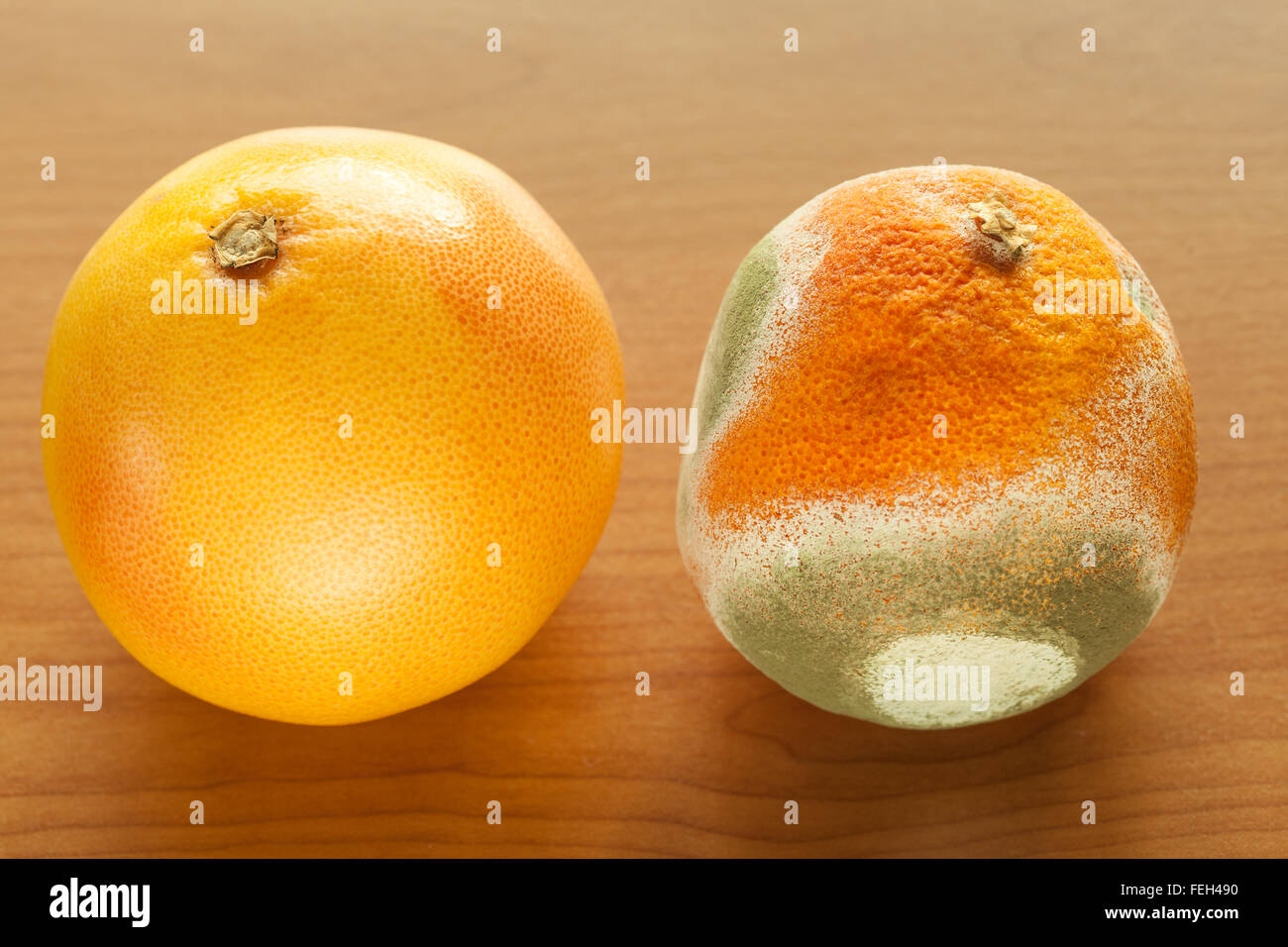 Ripe and moldy grapefriut on wooden table. Difference between healthy ...