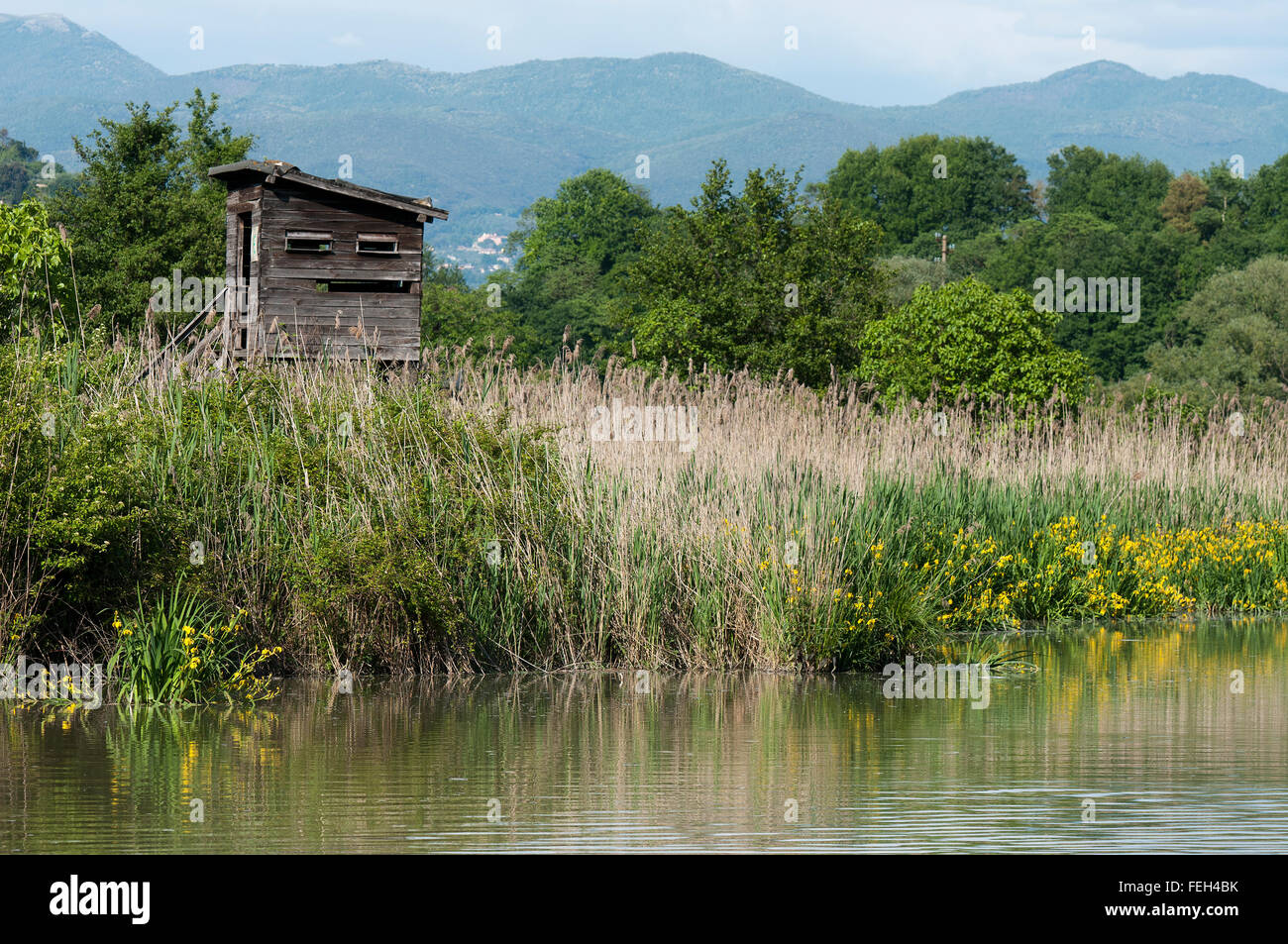 Observation hut in Regional Nature Reserve Nazzano Tevere-Farfa, Lazio ...