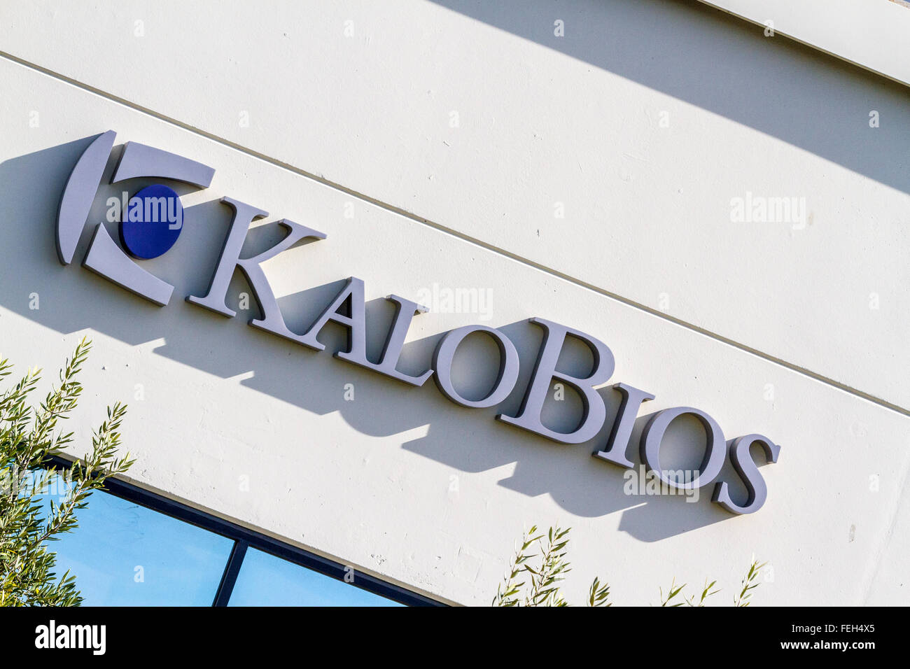 KaloBios offices in South San Francisco California, Martin Shkreli was ...