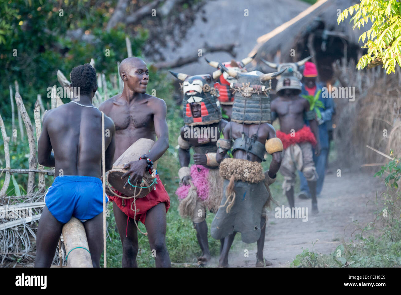 Performers in the vaca bruto initiation ceremony in the village of ...