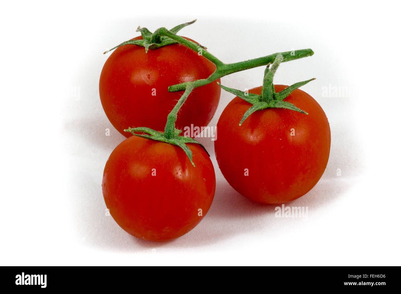 Three cherry (pachino) tomatoes, italian typical product, on a branch ...