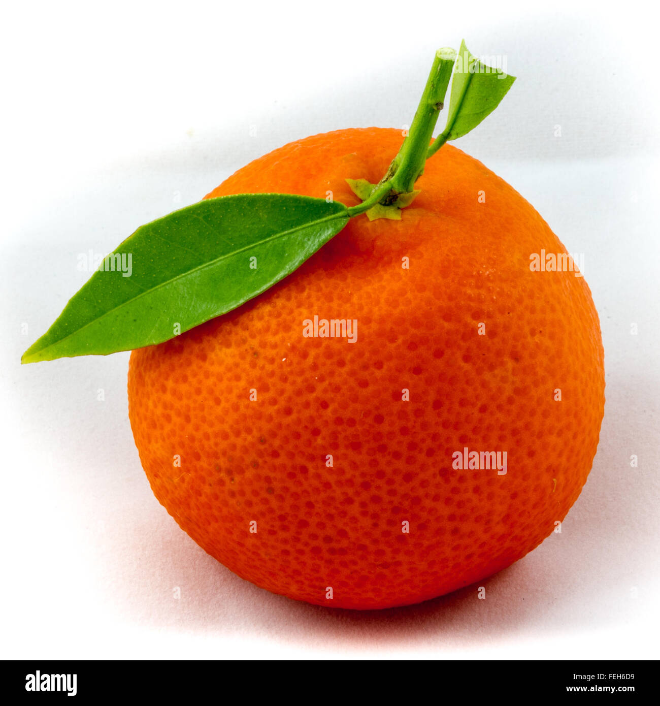 Single fruit of a clementine Stock Photo - Alamy