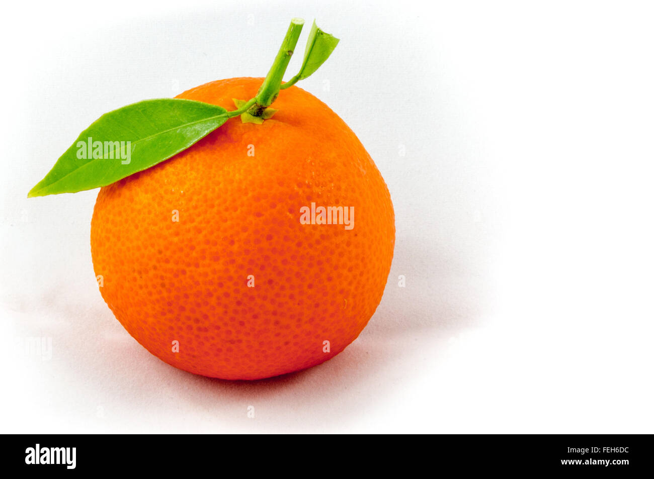 Single fruit of a clementine Stock Photo - Alamy