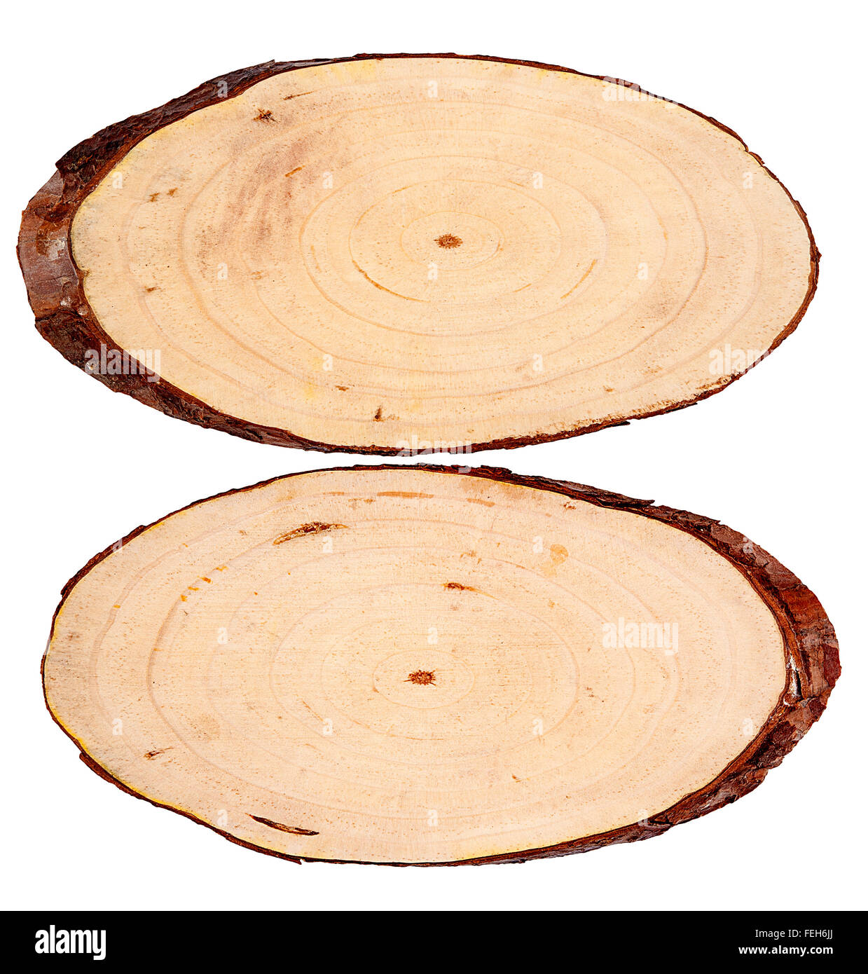 Tree rings detail Cut Out Stock Images & Pictures - Alamy