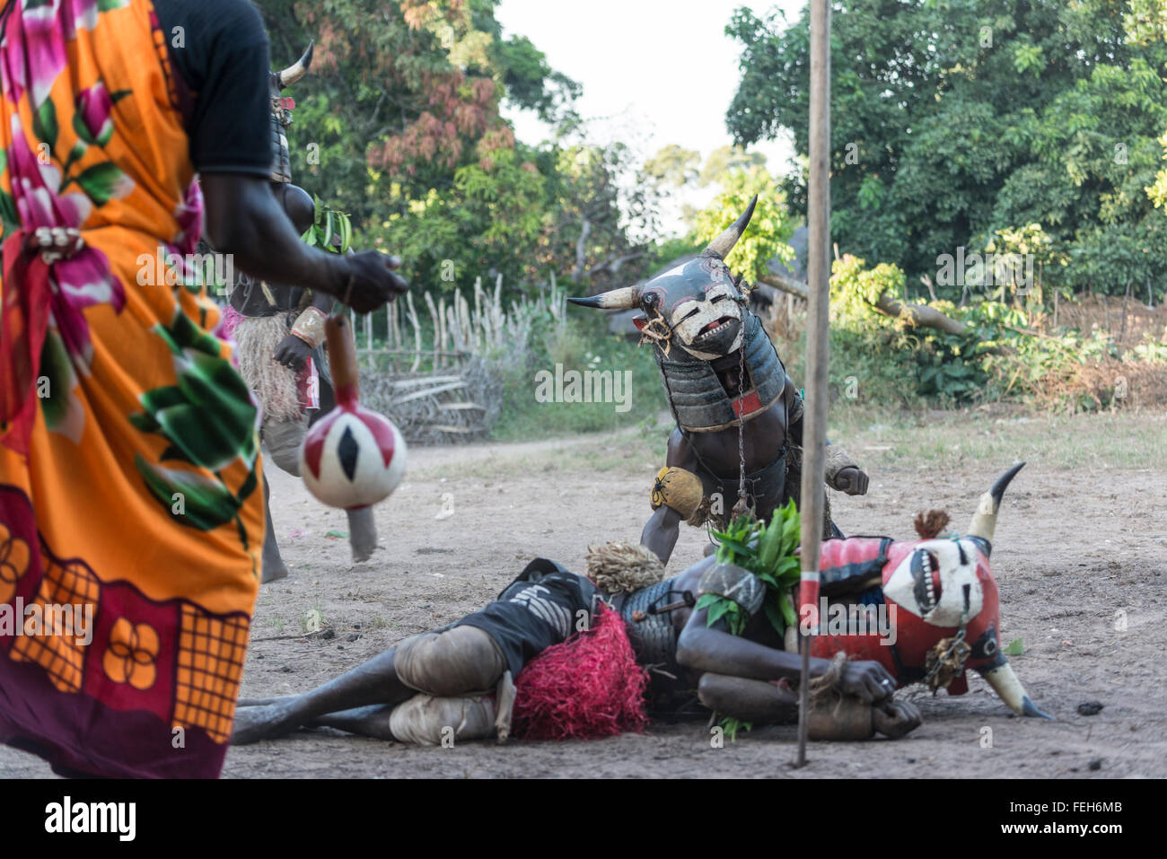 Performers in the vaca bruto initiation ceremony in the village of ...