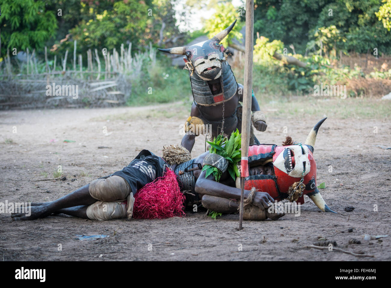 Performers in the vaca bruto initiation ceremony in the village of ...