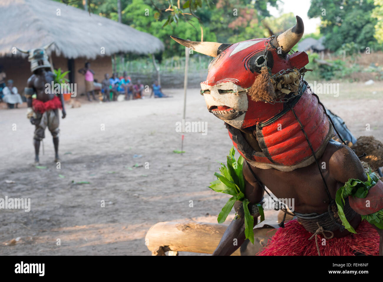 Performers in the vaca bruto initiation ceremony in the village of ...