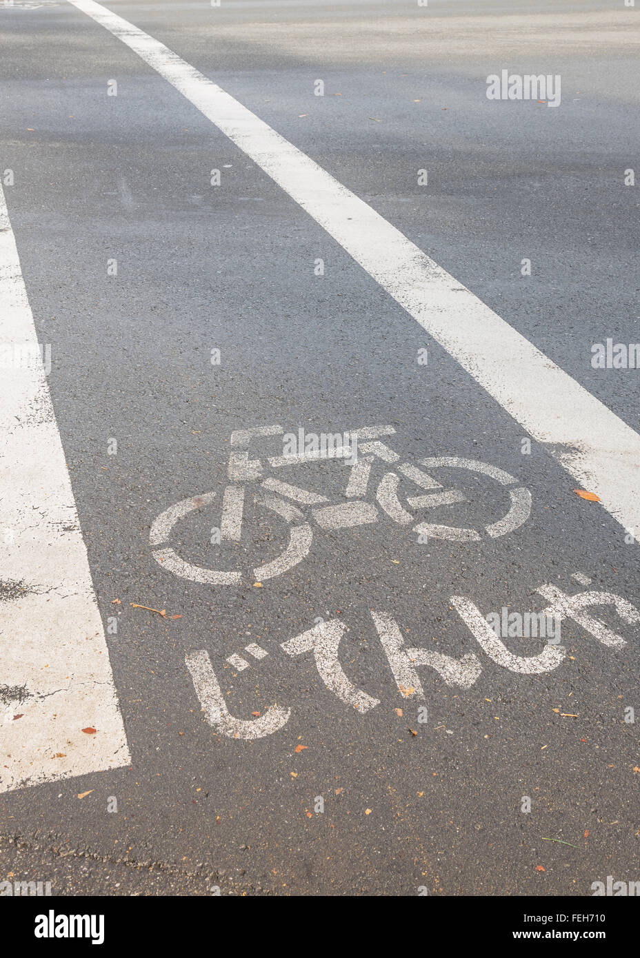 Sign for Bike lane in Japanese language on the road Stock Photo - Alamy
