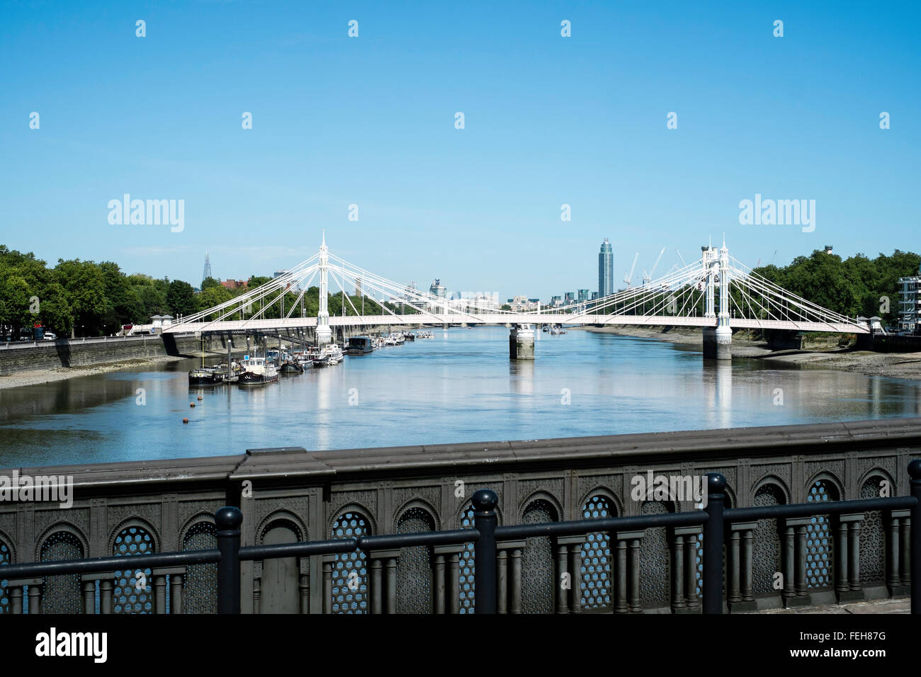 Thames river albert bridge scenic London Stock Photo - Alamy
