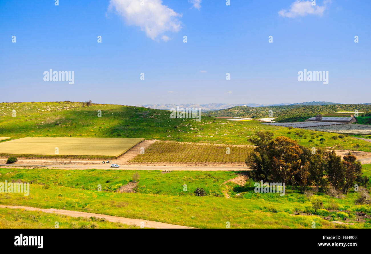 Landscape in Israel Stock Photo - Alamy