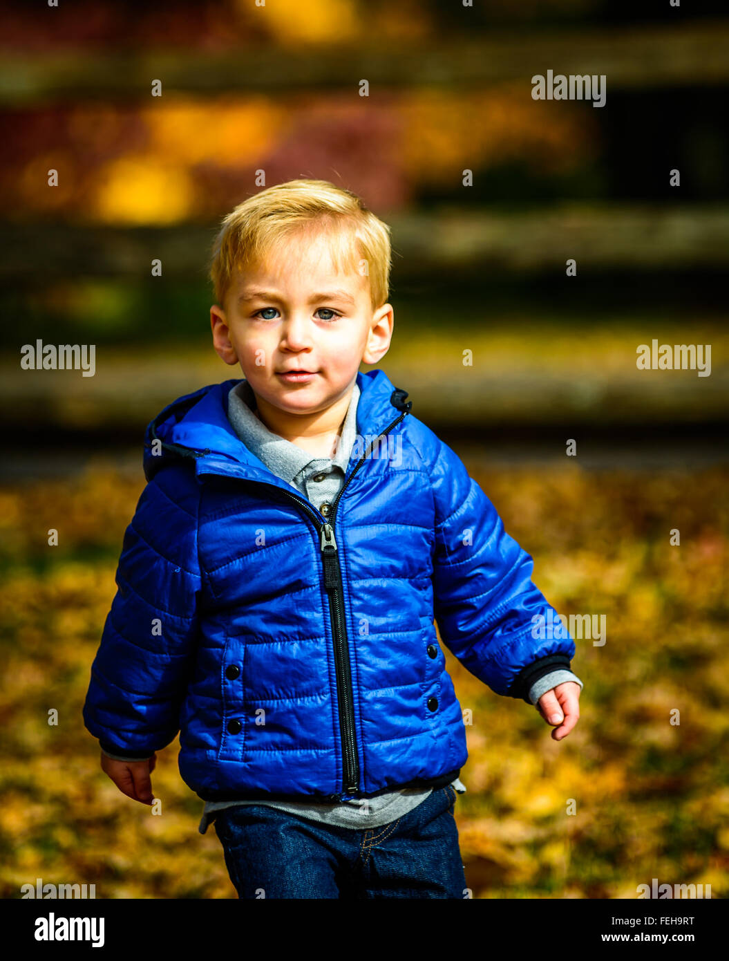 Fall toddler hi-res stock photography and images - Alamy