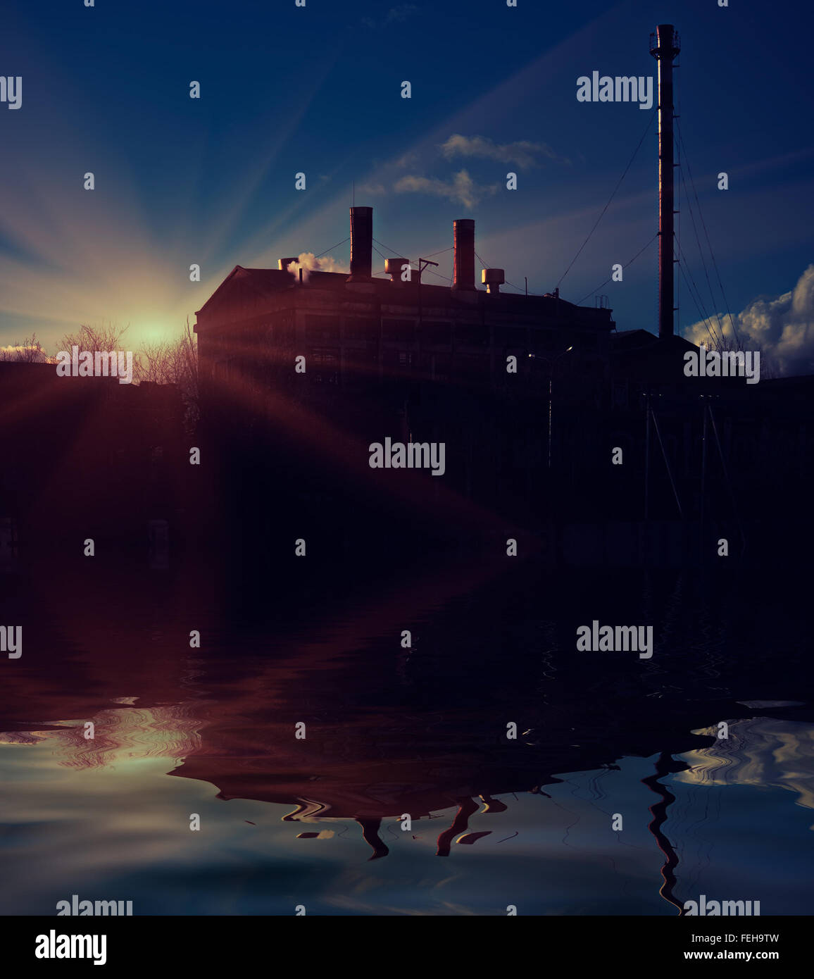 Eco plant line silhouette hi-res stock photography and images - Alamy