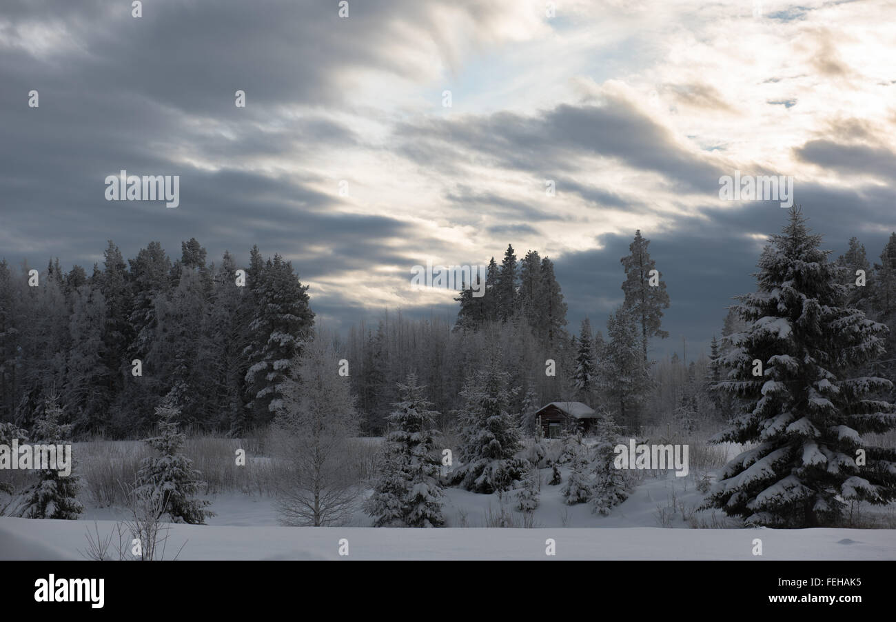 Snow covered trees and shed under a cloud filled sky Stock Photo - Alamy