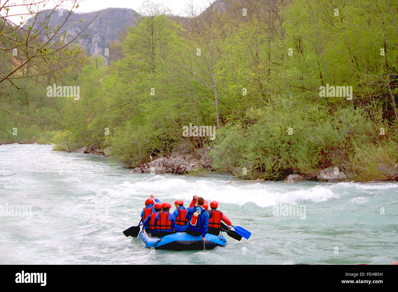 Rafting race on the fast riverTara Stock Photo - Alamy