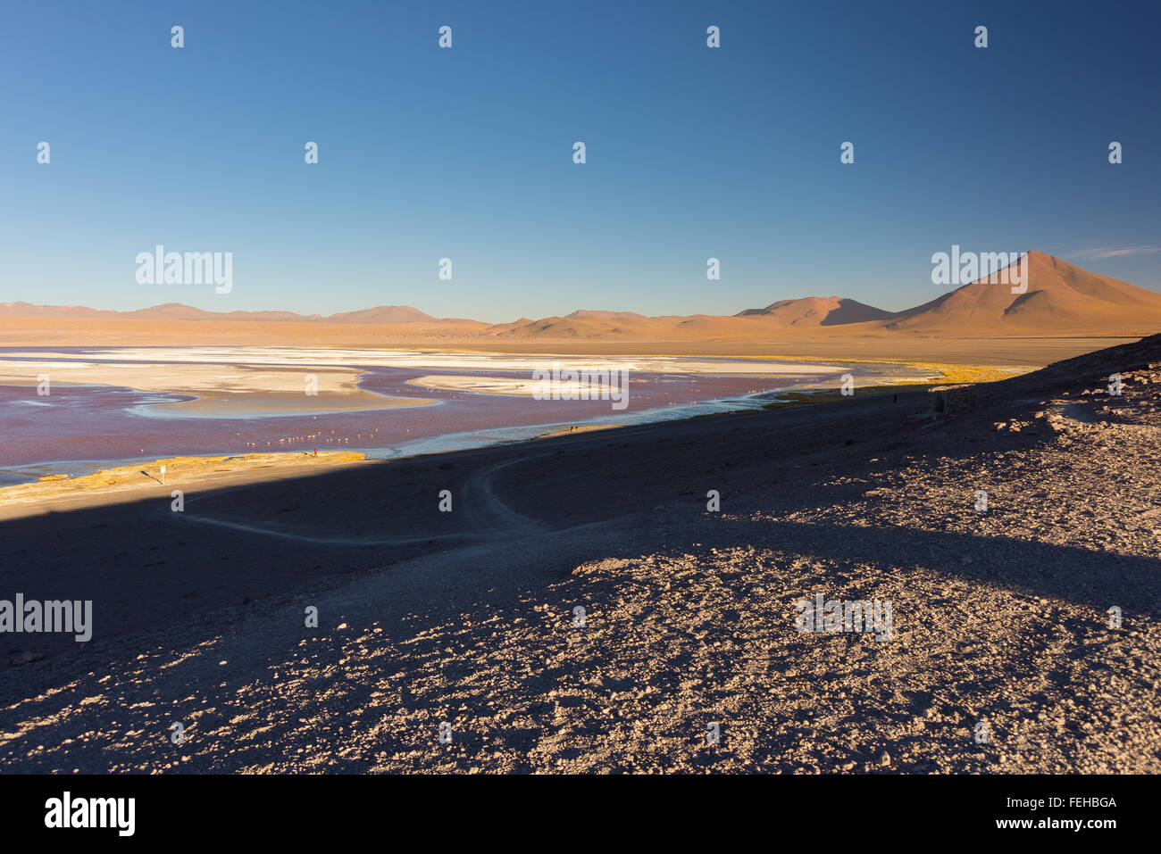 Wide angle view of "Laguna Colorada", Multicolored Salt Lake with ...