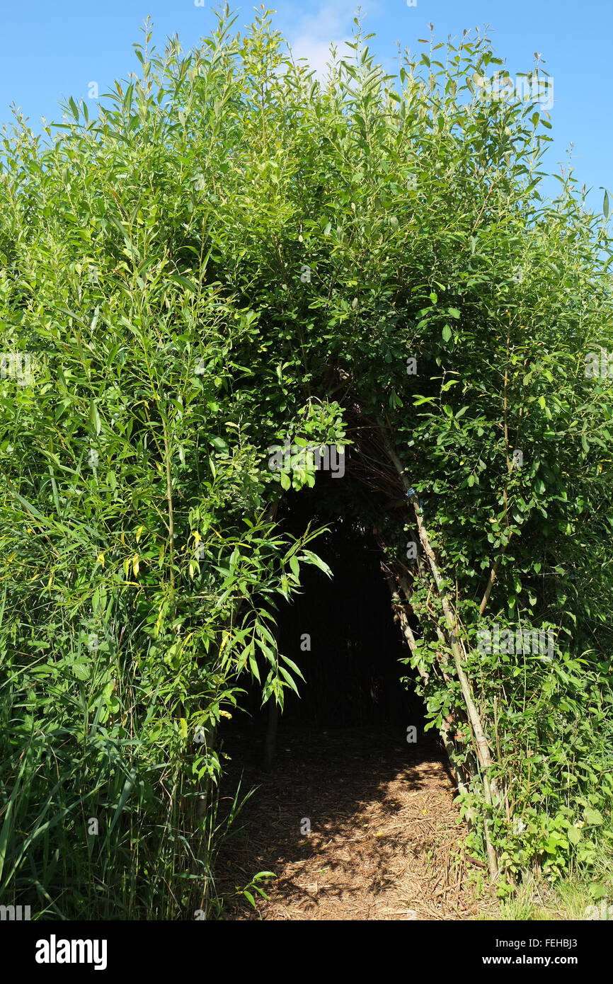 Opening in hedge hi-res stock photography and images - Alamy