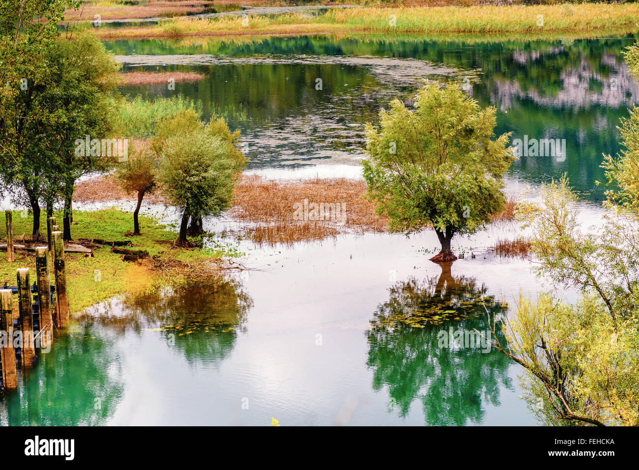Karuc bay on Lake Skadar, National Park in Montemegro Stock Photo - Alamy