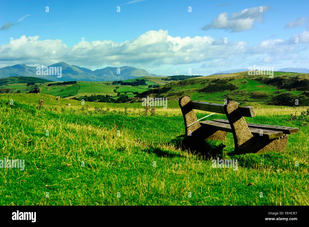 Viewing bench on Hoad Hill Stock Photo - Alamy