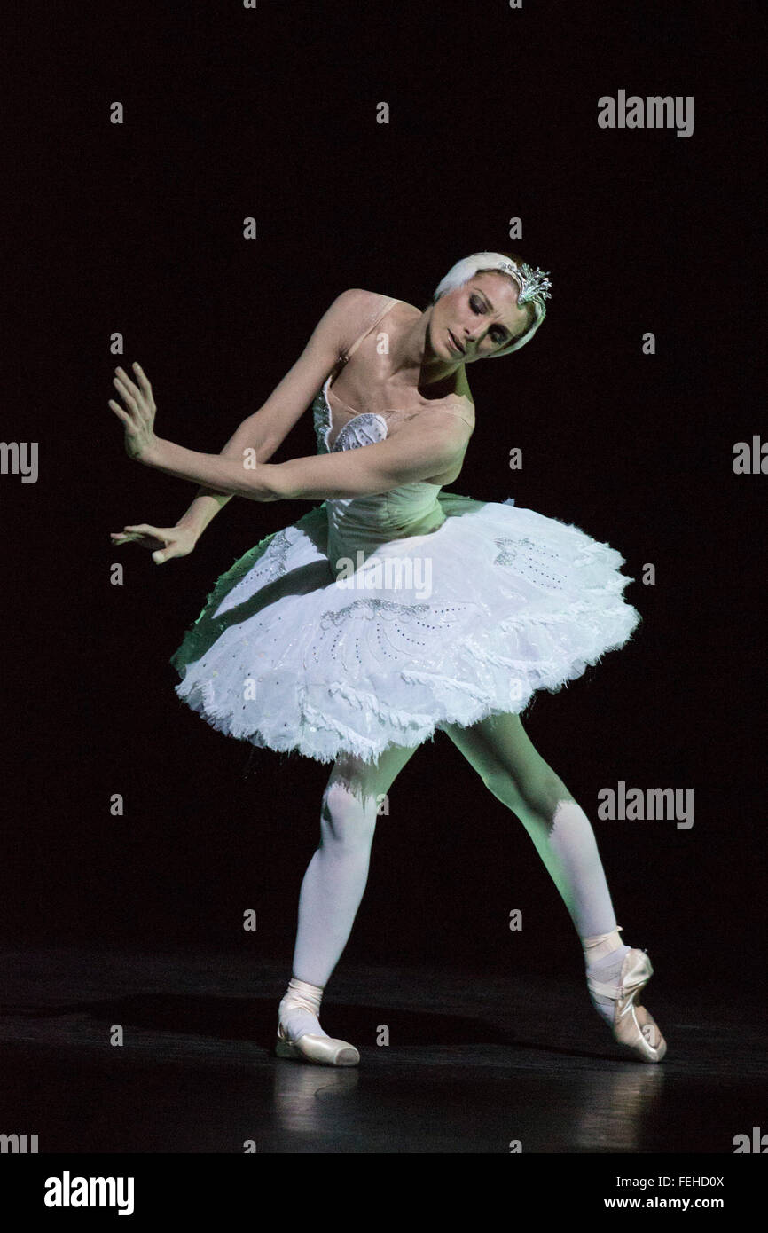 Dying Swan performed by Zenaida Yanowsky from The Royal Ballet ...