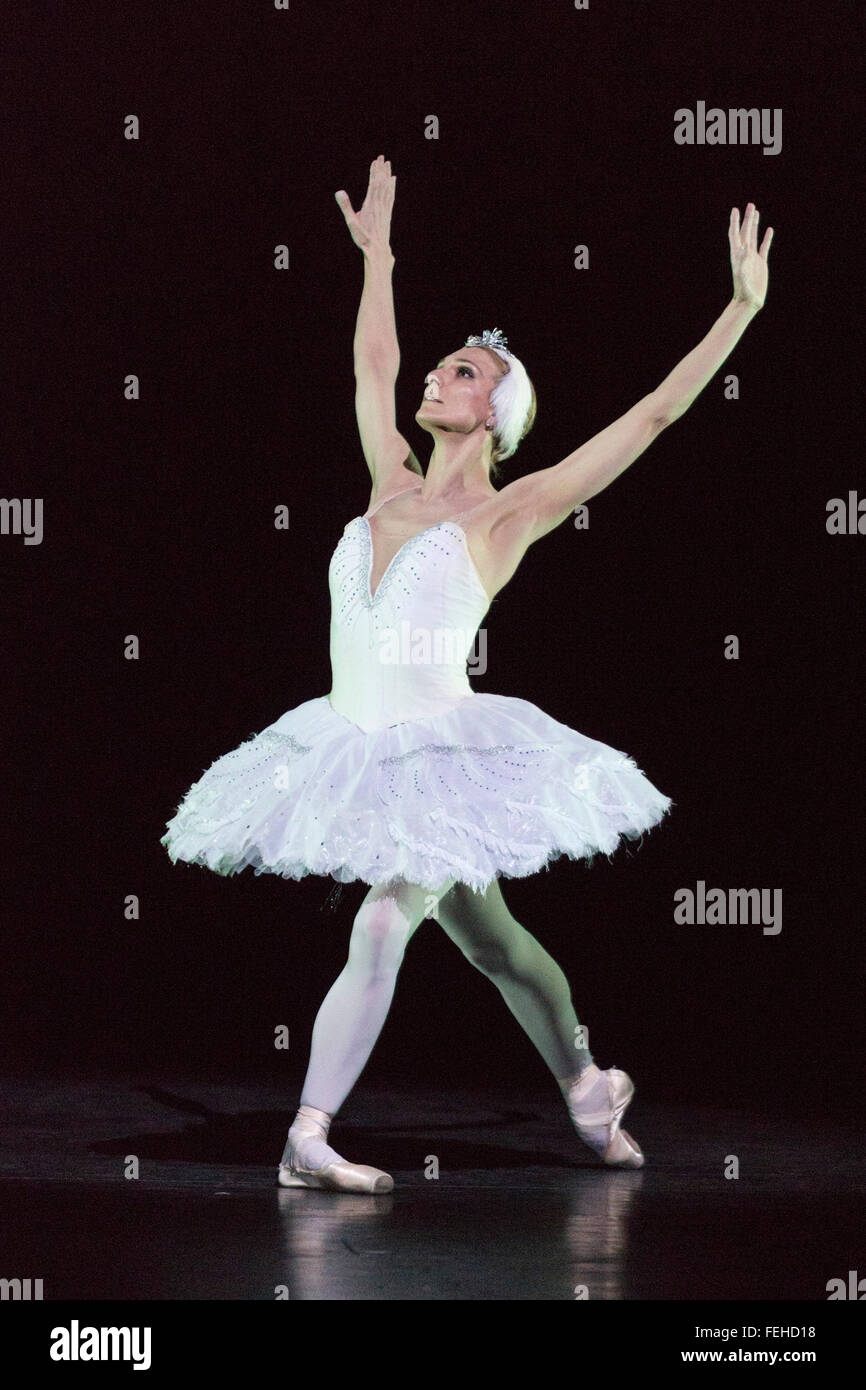 Dying Swan performed by Zenaida Yanowsky from The Royal Ballet ...