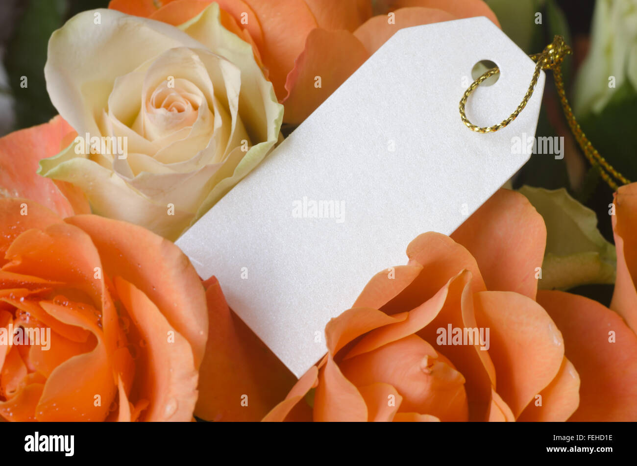 roses with empty white tag Stock Photo - Alamy