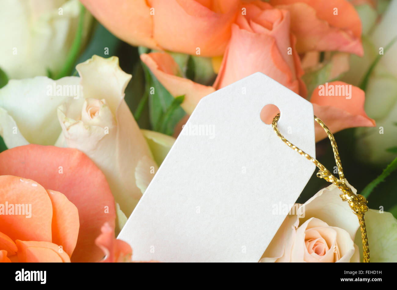 roses with empty white tag Stock Photo - Alamy
