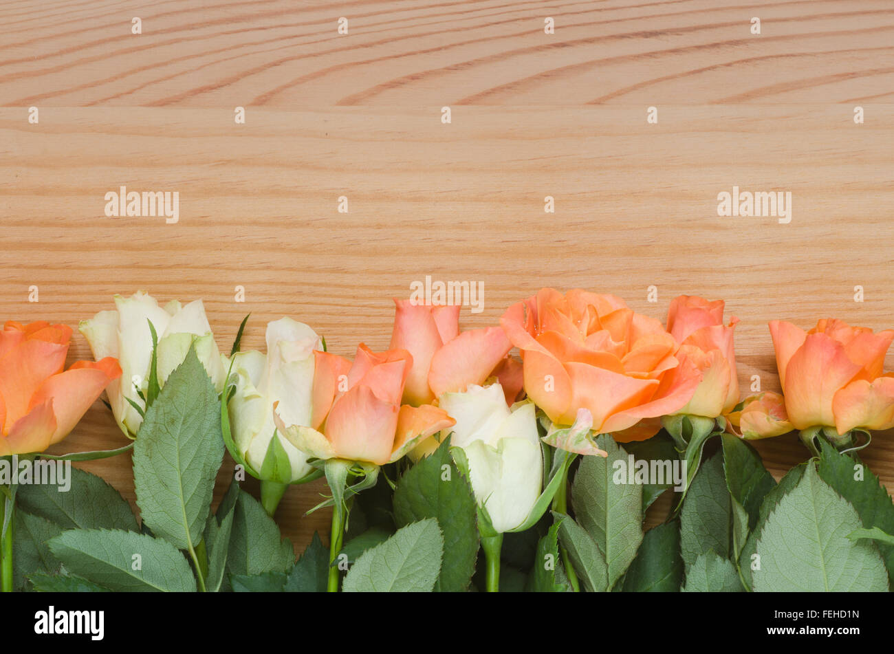 roses in a row on wooden background Stock Photo - Alamy
