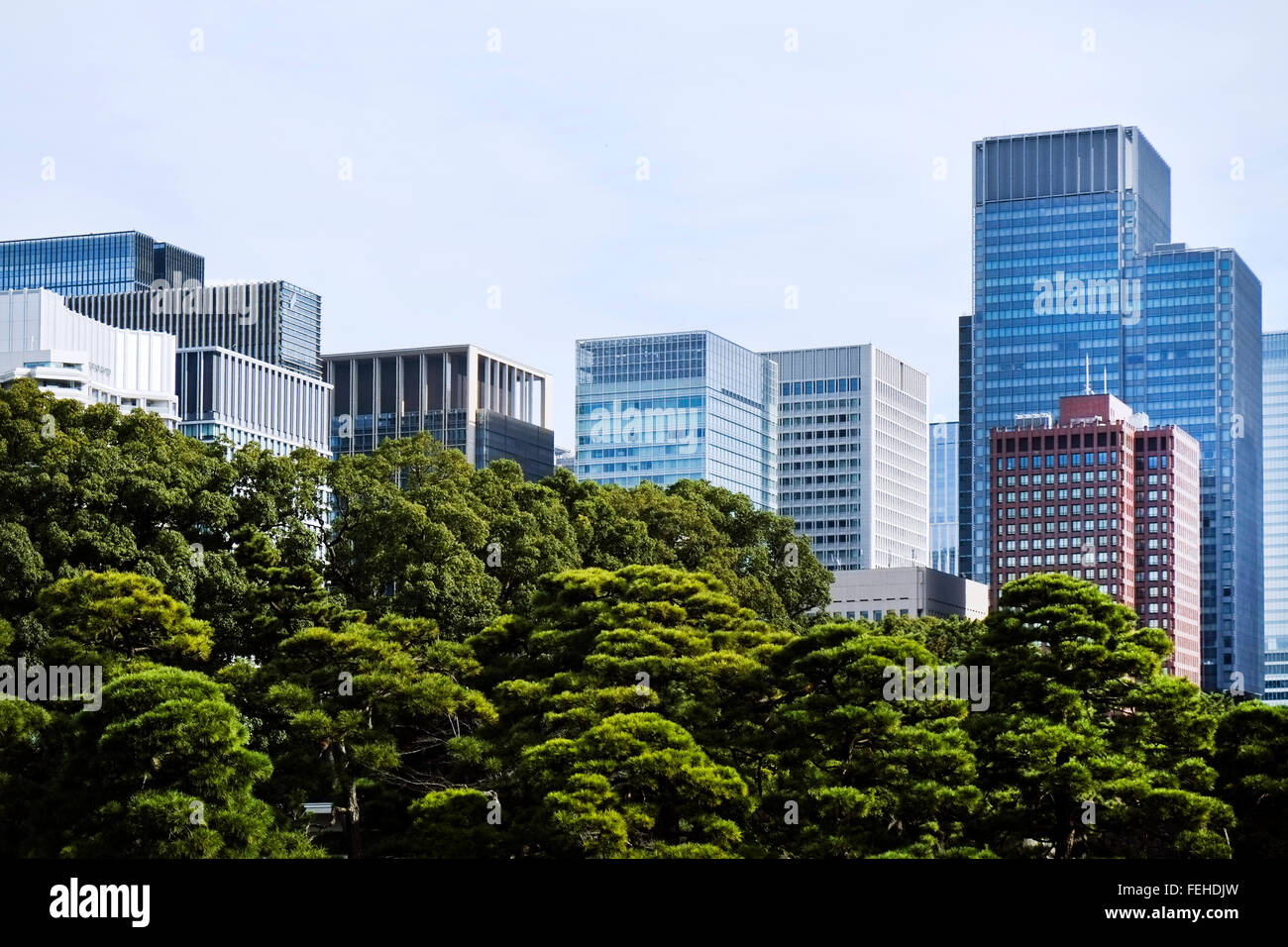 Tokyo, metropolis, Japan, city Stock Photo - Alamy