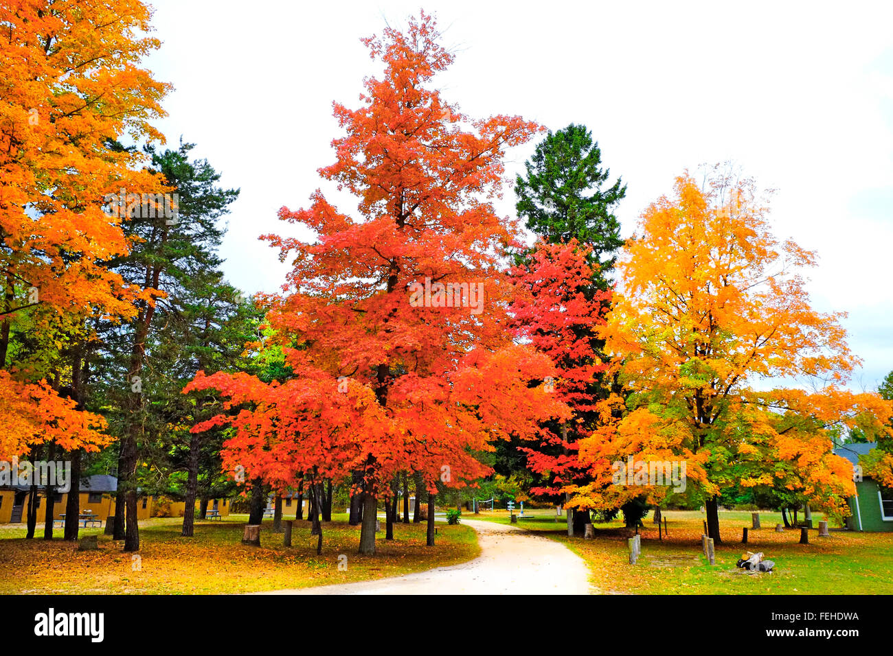 Fall colors in autumn with Maple Tree on Lake Huron Shore near Lexington Michigan Stock Photo ...
