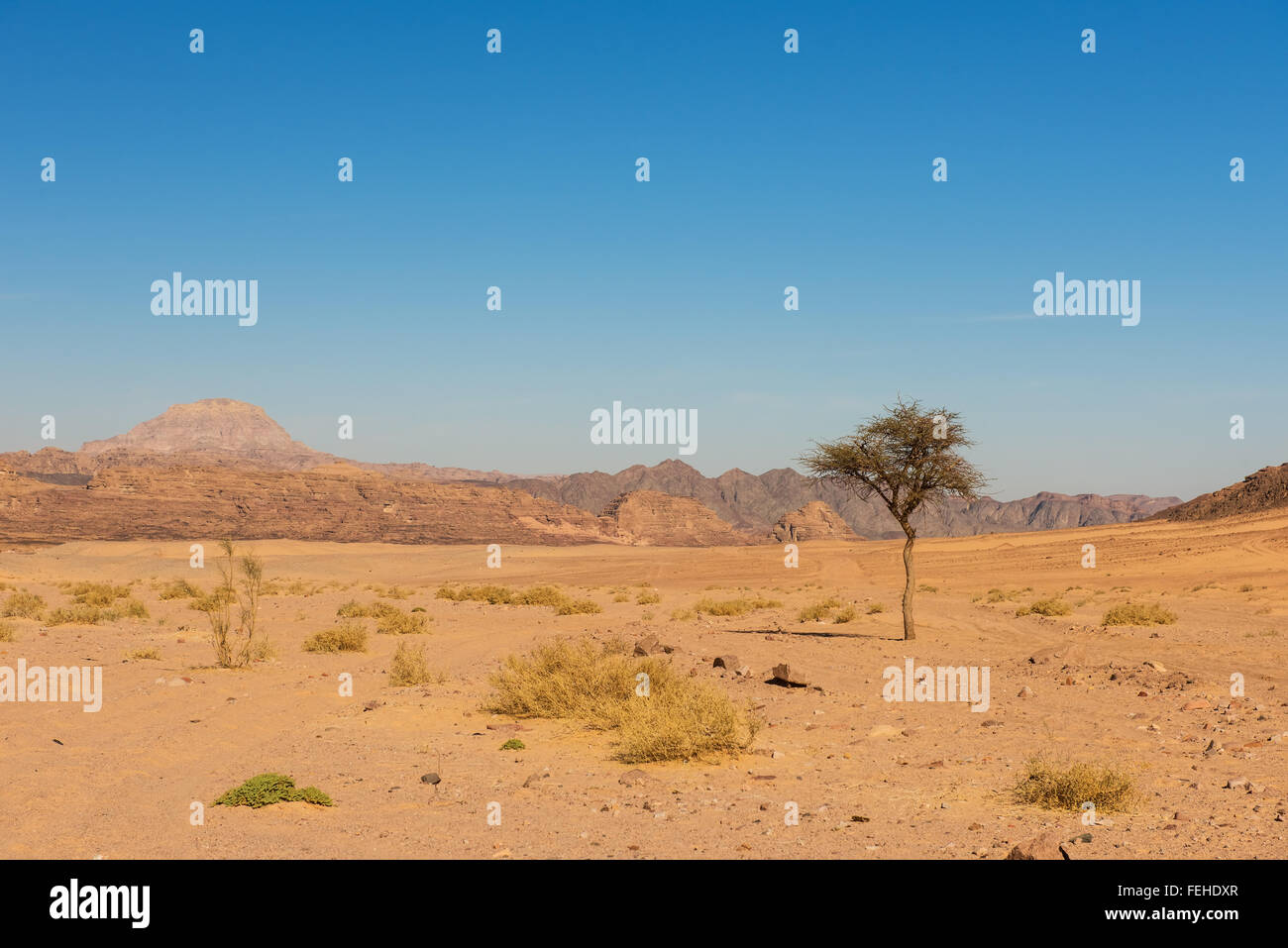 Sinai desert landscape Stock Photo - Alamy