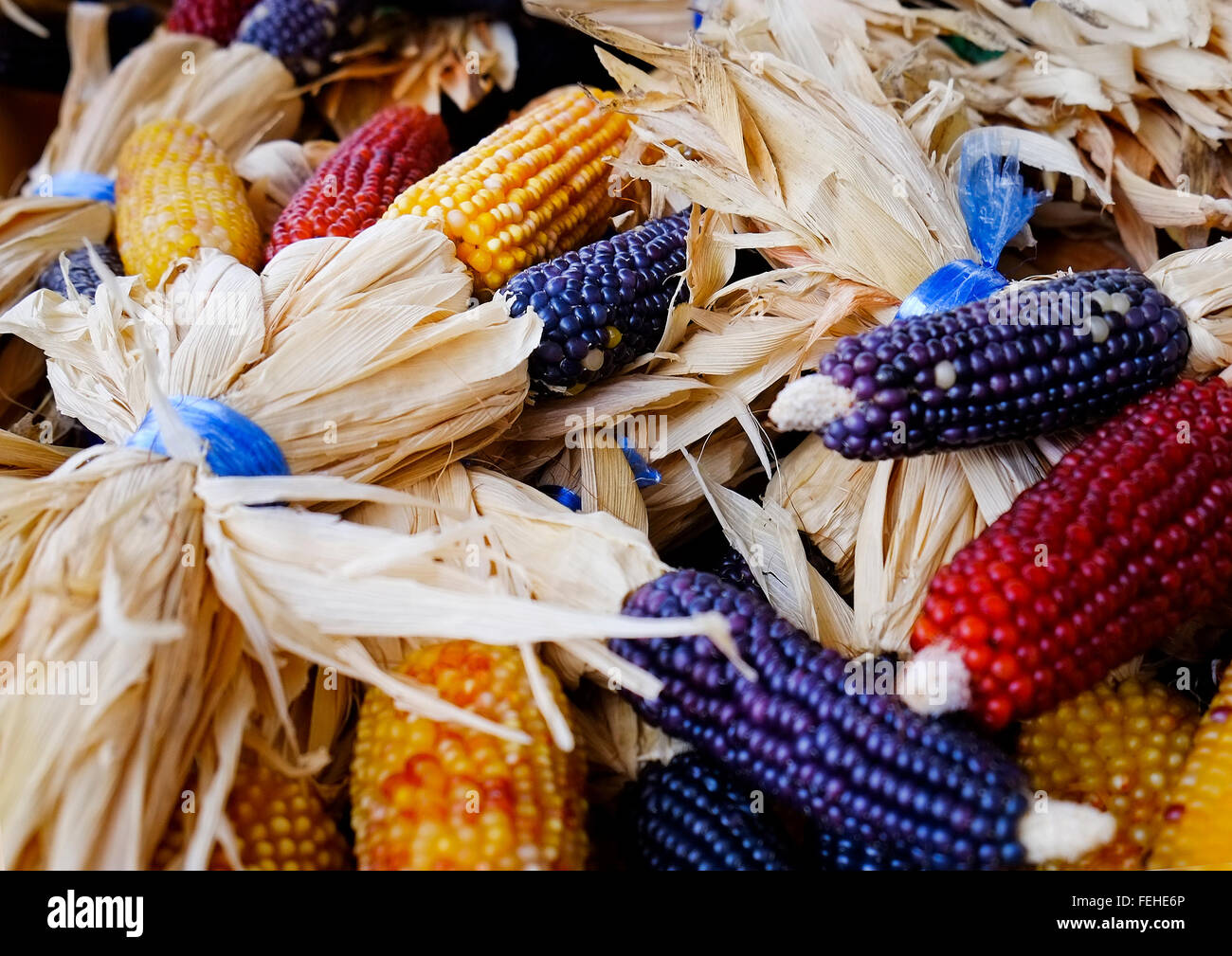 corn, Japan,maize, color, food, bunches Stock Photo - Alamy